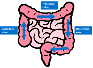 Pelvic pain conditions